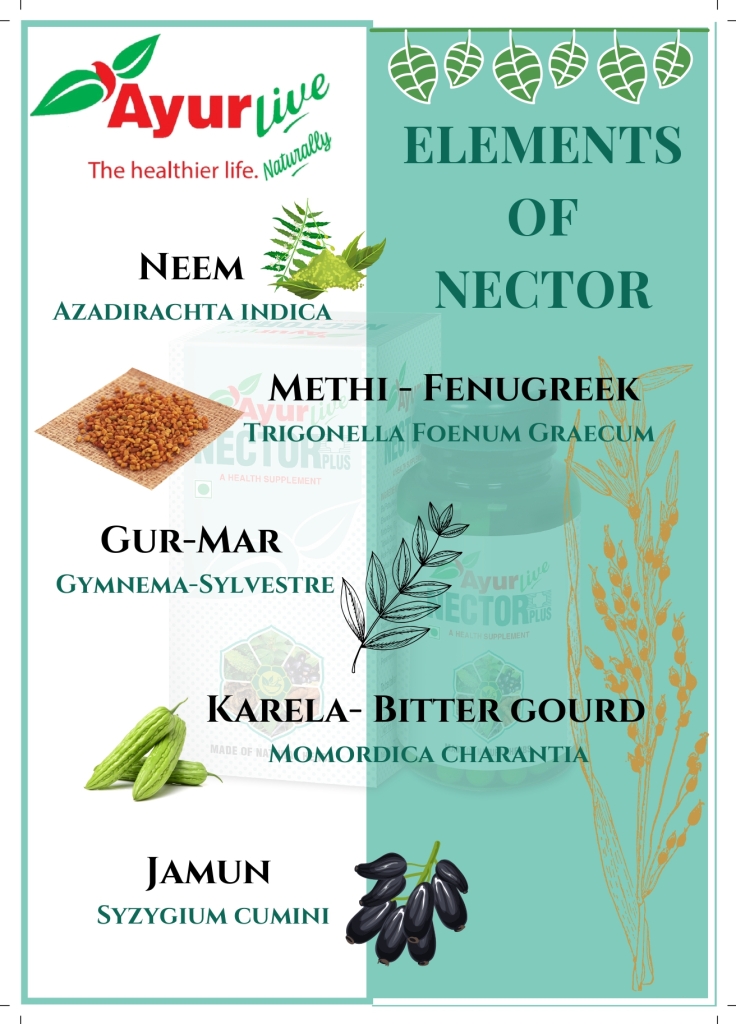 Best Ayurvedic Diabetes Supplement | Supports Kidney Health.